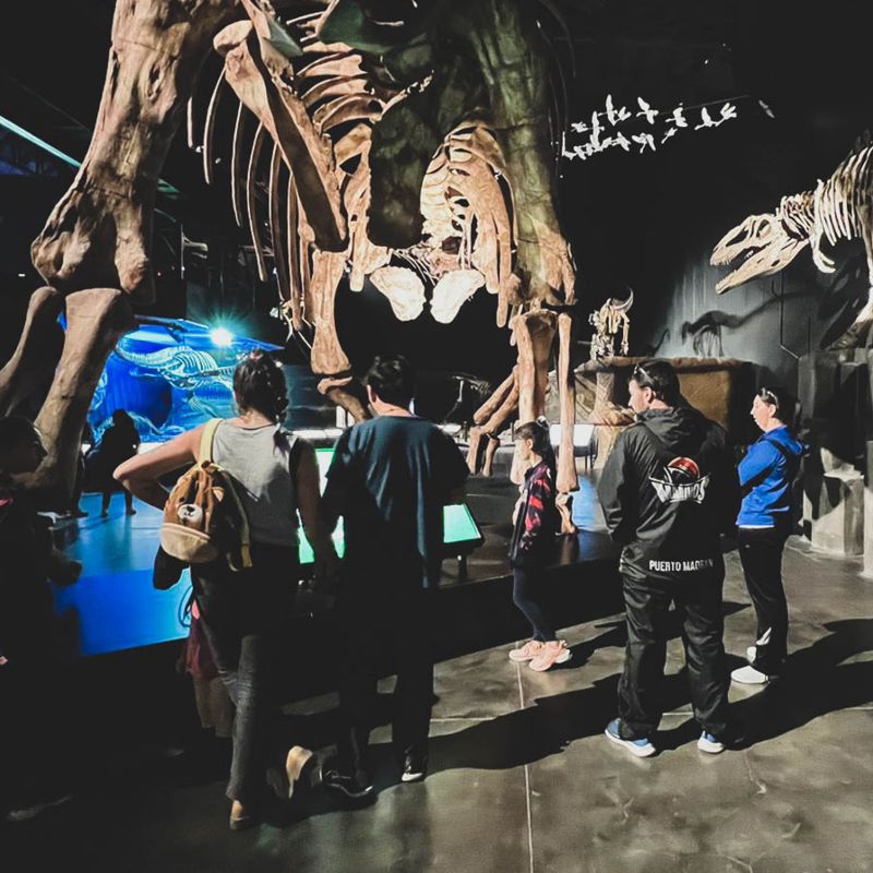 Excursión a Pinguinera Punta Tombo y Trelew (MEF)