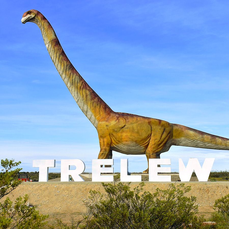 Excursión a Pinguinera Punta Tombo y Trelew (MEF)